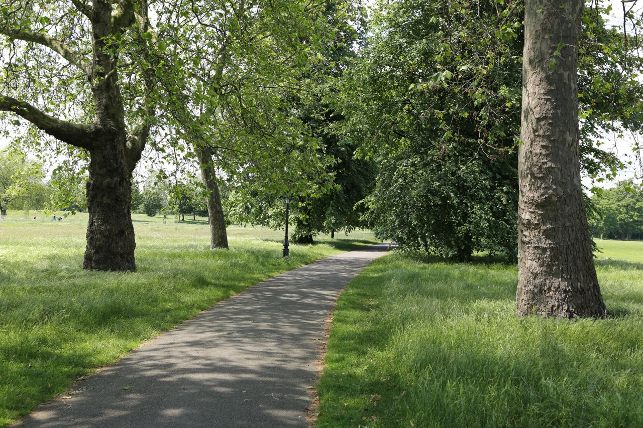 Shadows & Light: Clapham Common