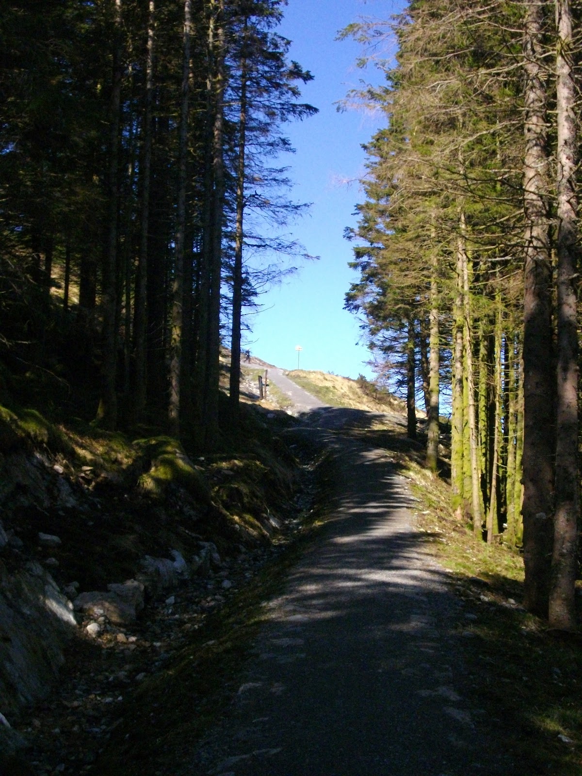 irgum-Bergen