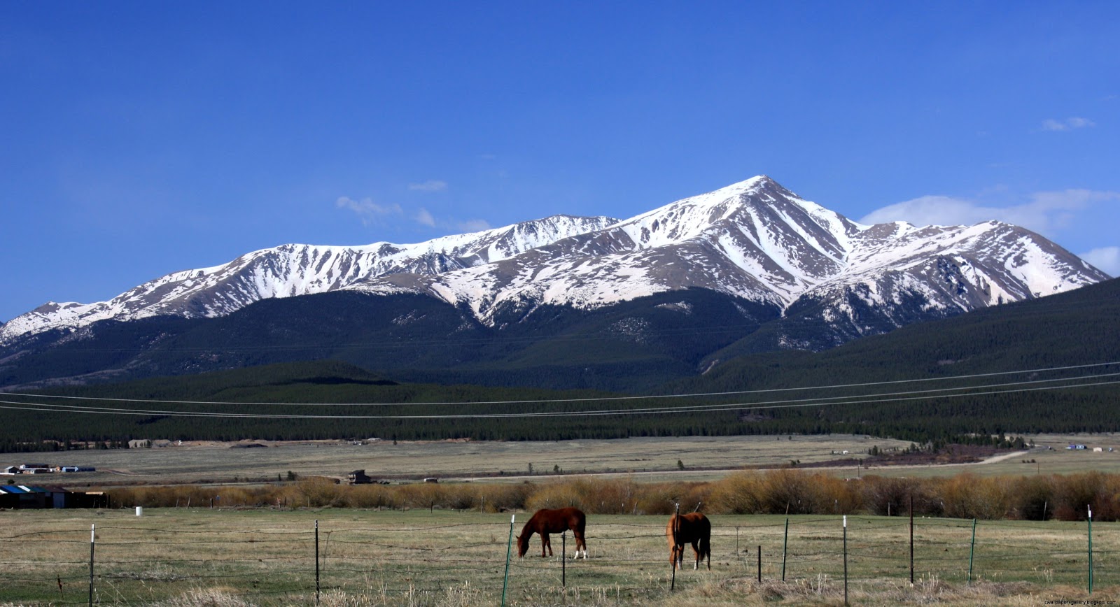 Mount Elbert | Wallpapers Gallery