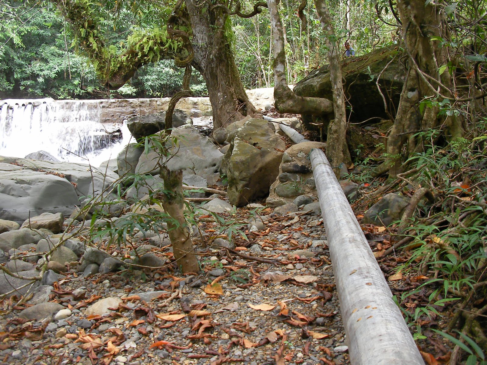 Macam Sumber Air Baku - Diary Anak Cinta Lingkungan
