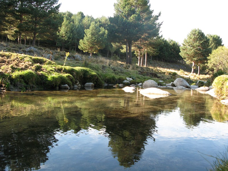 Lugares que nuestra locura nos permite descubrir: Parador de Gredos ...