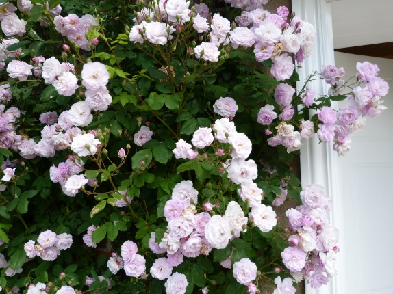 Jane Austen: Commemorating the Anniversary of Jane Austen’s death with ...