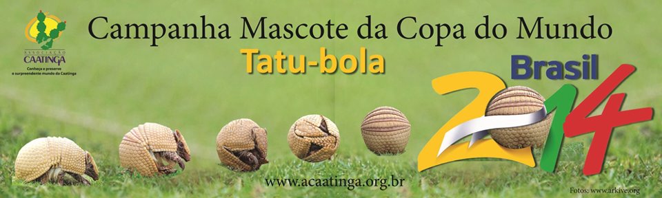 VpInfoBr: Tatu-bola para mascote da Copa do Mundo de 2014!