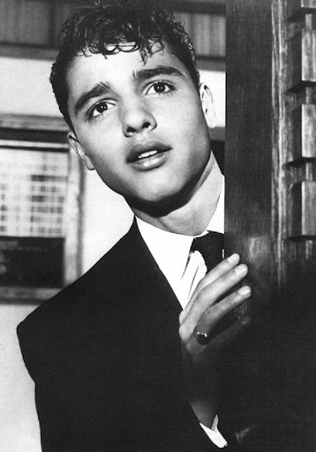 Sal Mineo, o doce rebelde