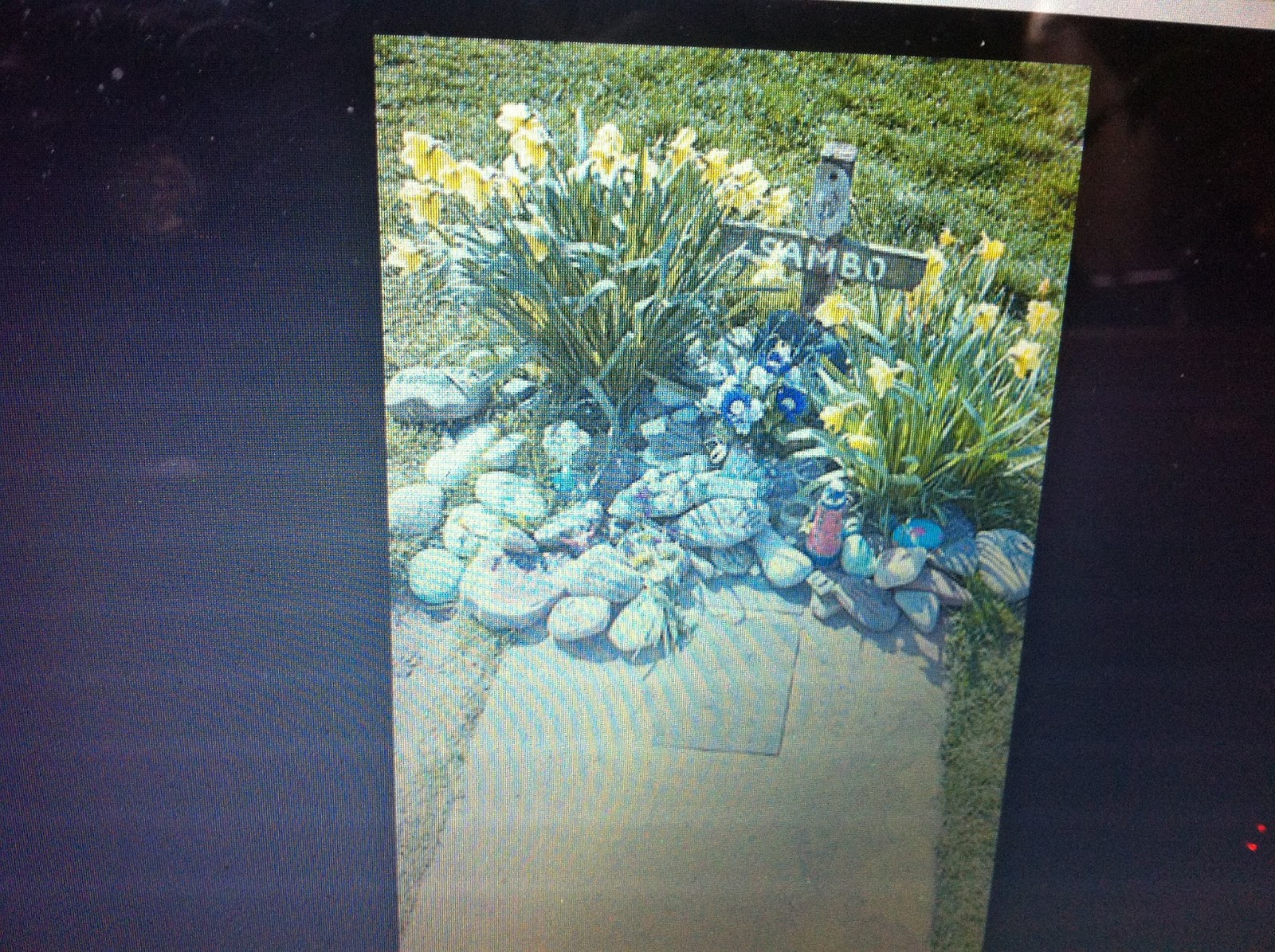 THE BLACK SOCIAL HISTORY:: BLACK SOCIAL HISTORY : SAMBO GRAVE IS THE ...