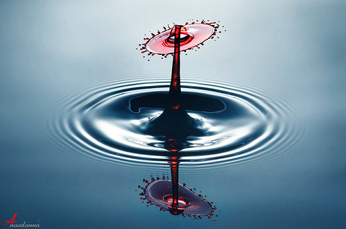 best photos 2 share: Great pictures from Alanood Al- Rasheed