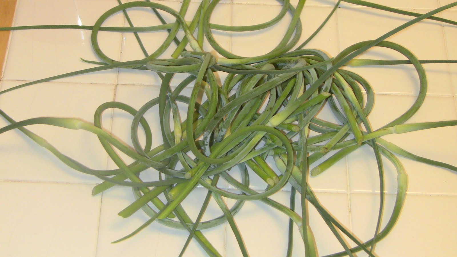 Sophisticated Peasant: Green Garlic, Fermented!