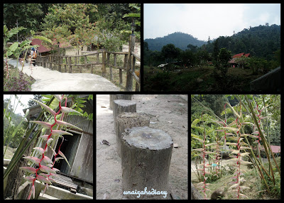 Memories Experiences Thoughts Hopes Dreams: Kawasan Rekreasi Sungai ...