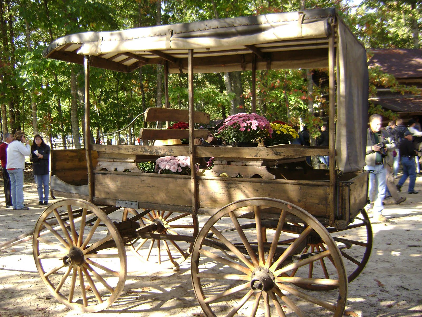 THE CABIN IN THE WOODS: HART SQUARE