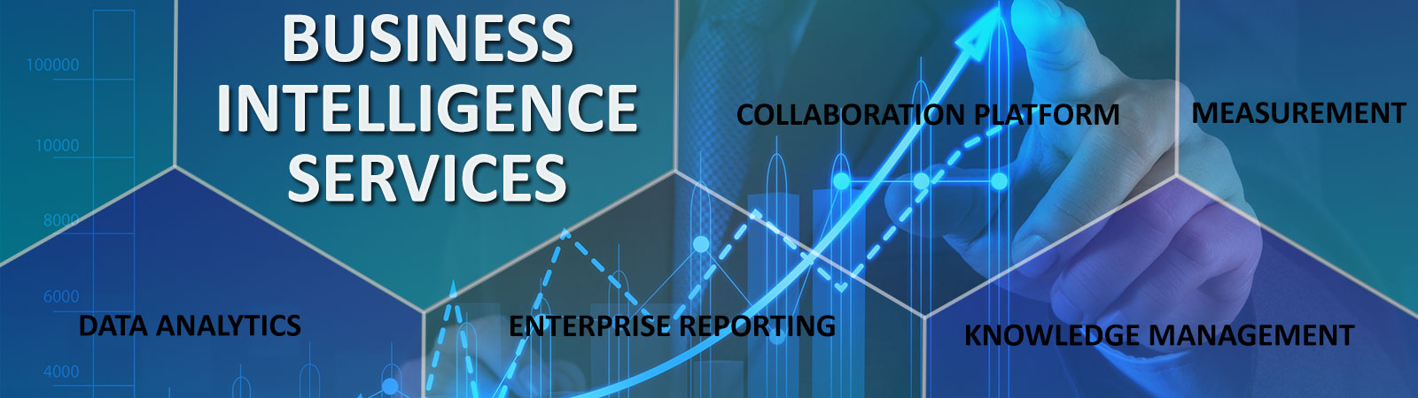 Leading Business Intelligence Software Development Company USA