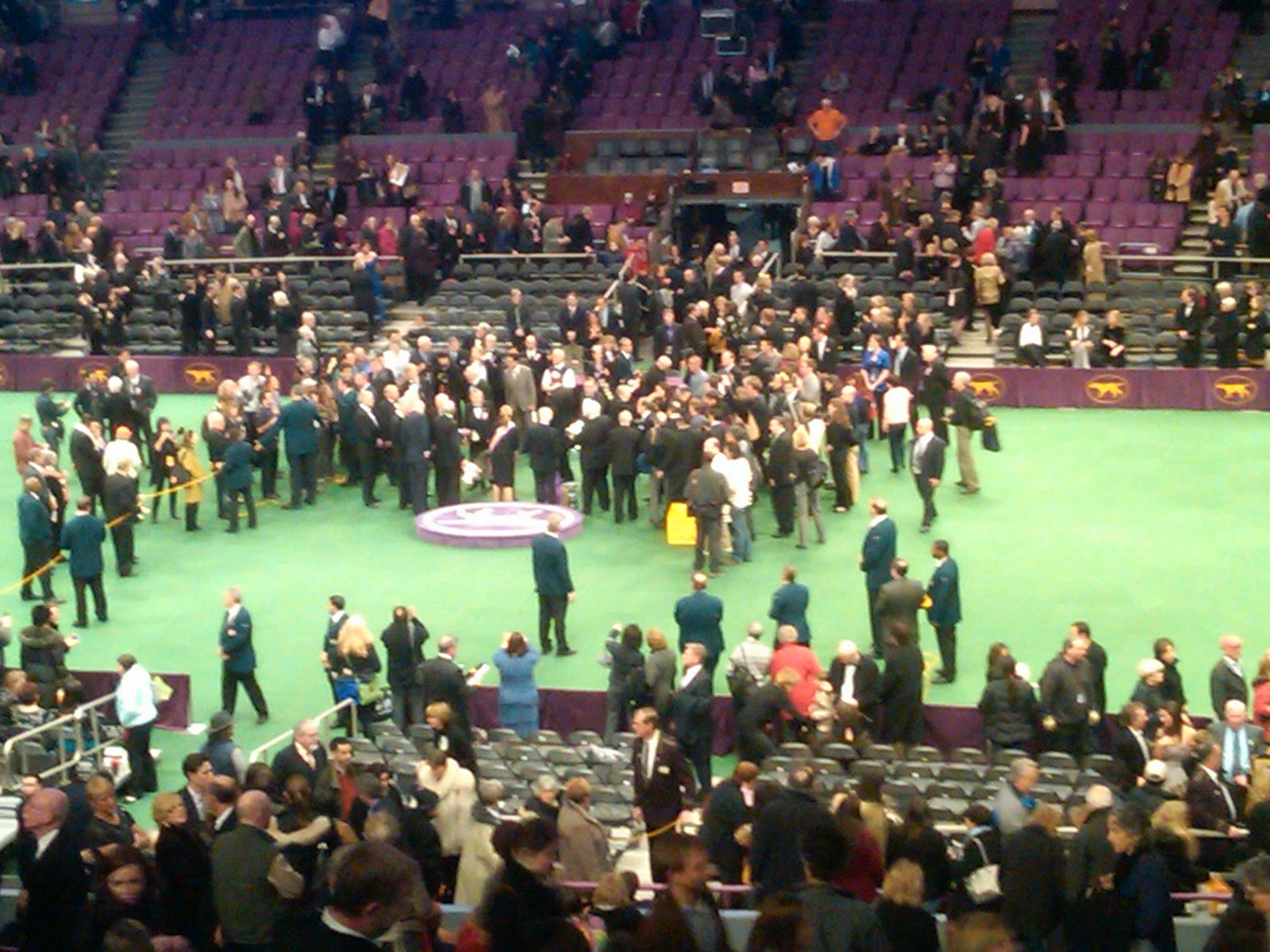 Things to Ponder: Best in Show: Westminster Dog Show Final Night