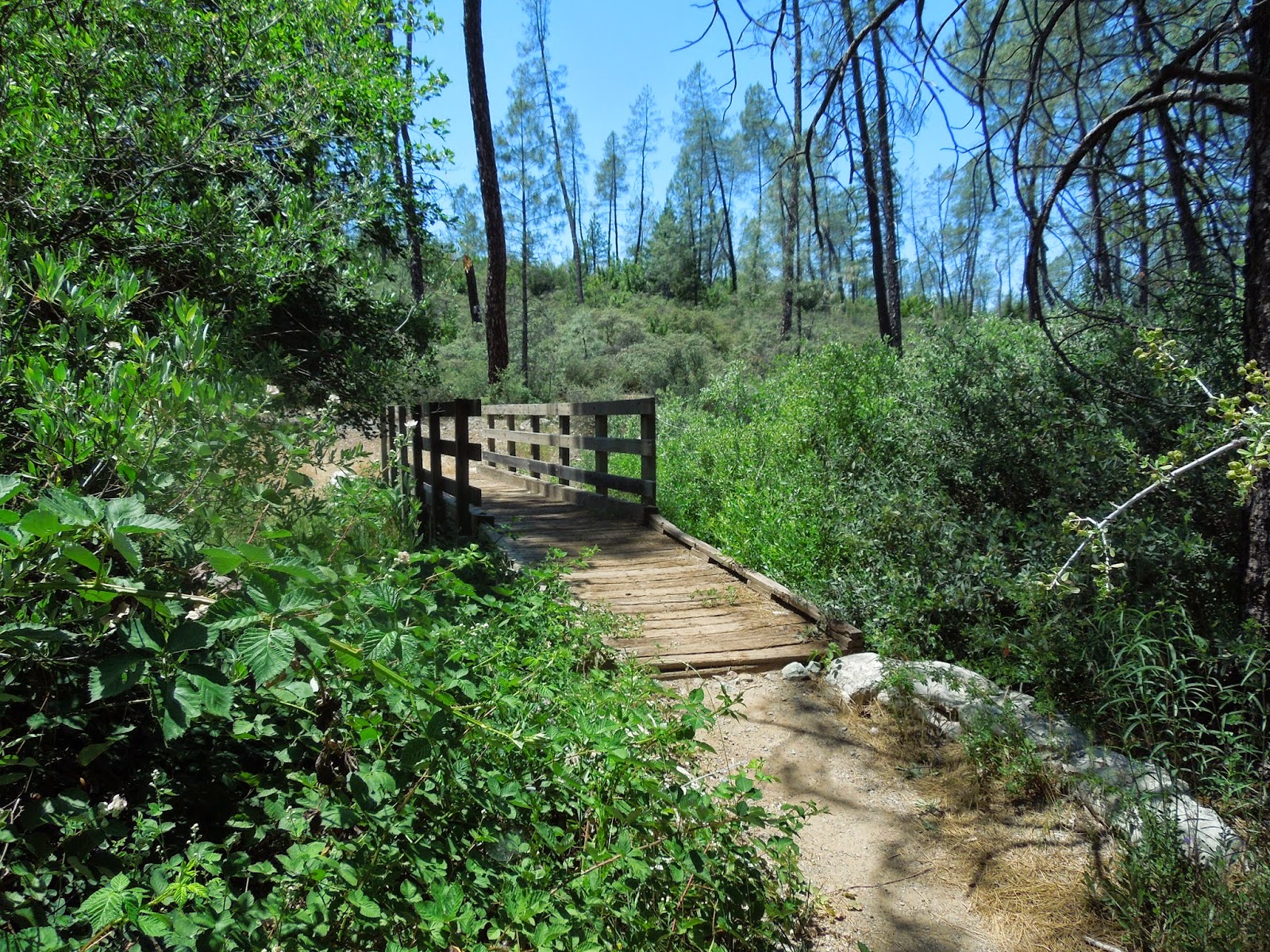 Peachy Hiker: Traverse Creek Botanical Special Interest Area