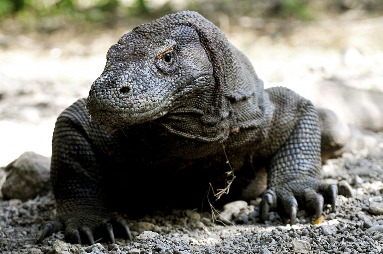 Mitoslavia: 12/18/17