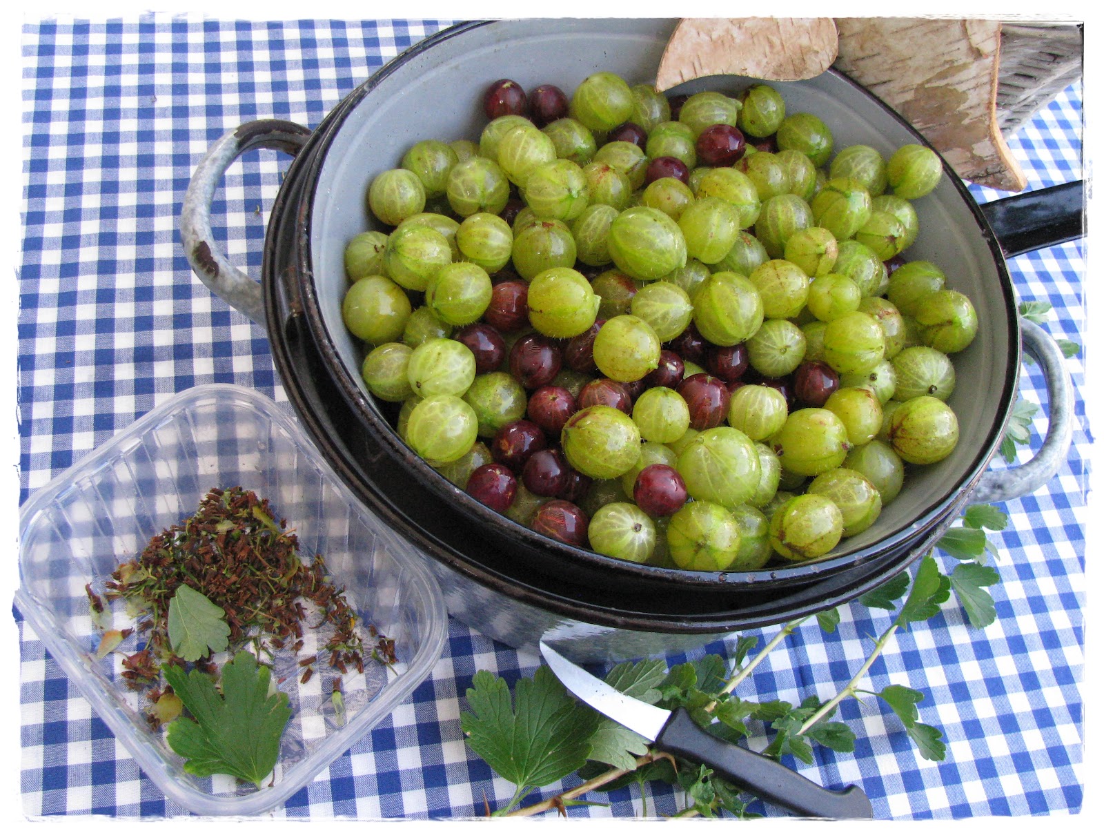 Hoorn Des Overvloeds: Kruisbessen