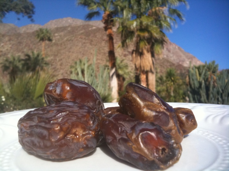 Raw Appétit, Raw Food Recipes & Info by Angela Salvucci: Fresh Dates ...