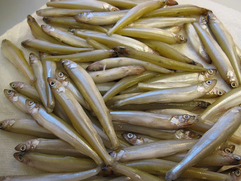 Full of color: Lake Smelt