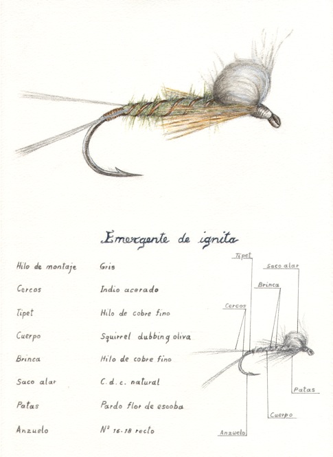 Artificial flies for fishing drawings and paintings: EPHEMEROPTERA