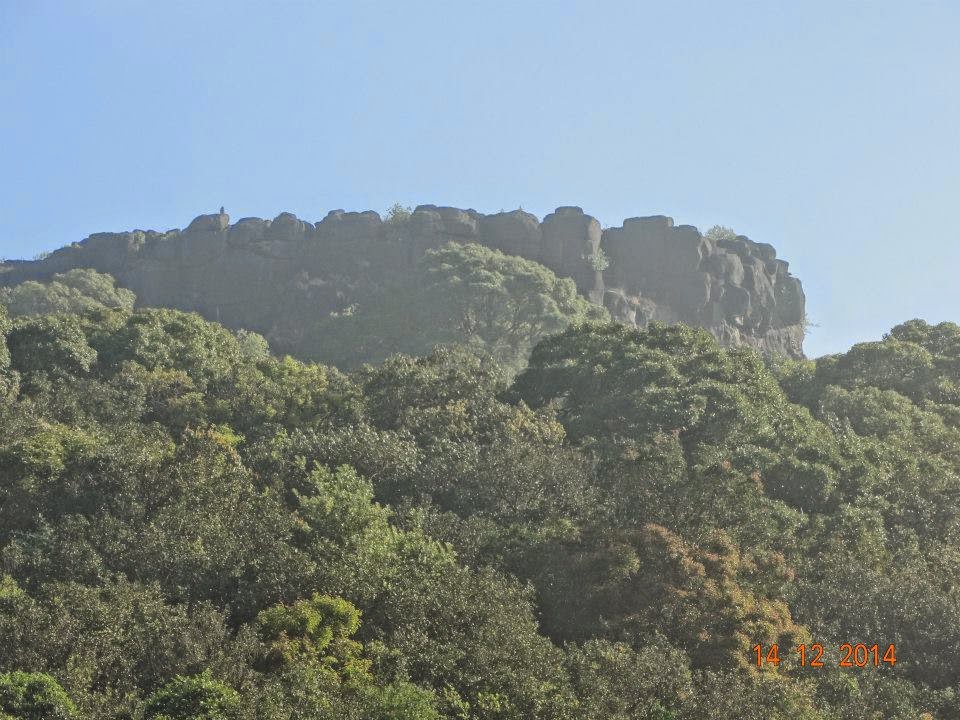 Weekend Nature Explorer: Trek Durg, Dhakoba, Amboli & Darya Ghat