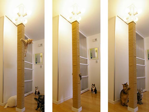 Lovely Cat House: A Playground for Cat | YOU PETS PLANET