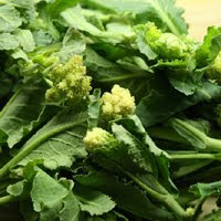Farm-Direct: Why We Love White Sprouting Broccoli