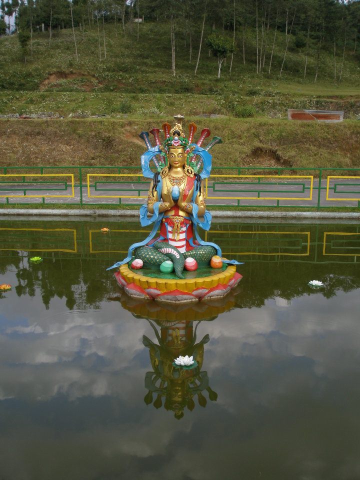 ASOCIACION CHOGAR GONG: 2010