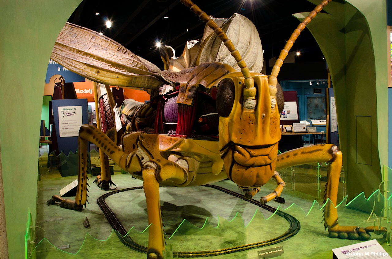 SKEPTIC PHOTO: BOSTON MUSEUM OF SCIENCE