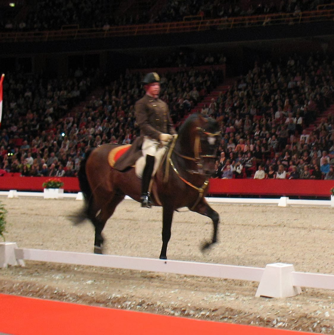 Hästdrömmar: Spanska ridskolan