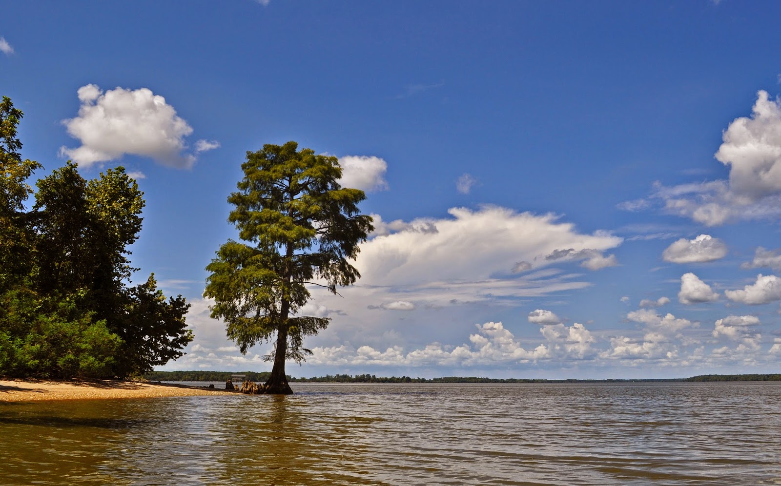 A Tidewater Paddler: James River - Claremont Beach - 9/6/14