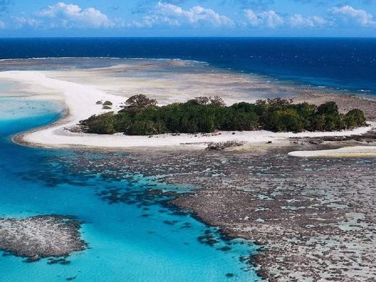 TravelShare: Coral Sea, Australia.
