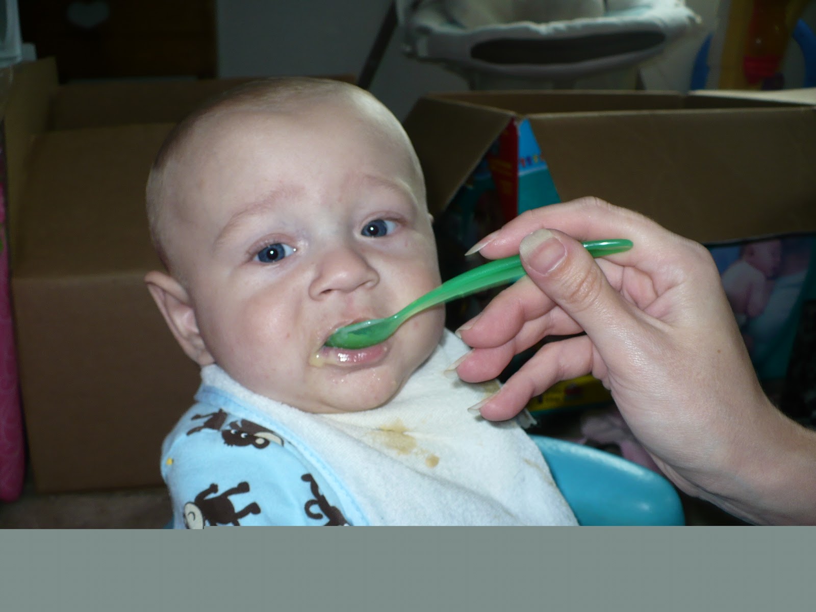 Jay's Journey, The story of my 28 weeker