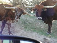 ON THE ROAD: Rock Shadows RV Park-Apache Junction,AZ