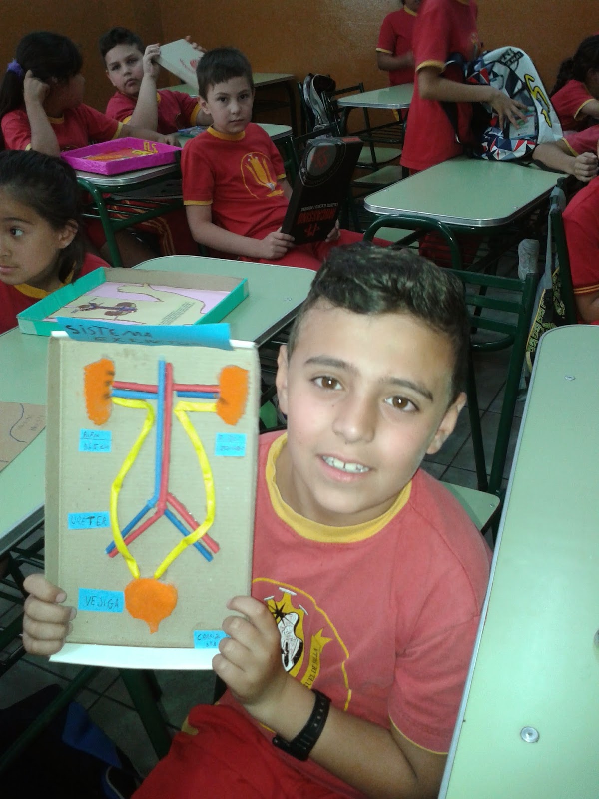 TERCER GRADO - MANUEL DE FALLA: ASÍ TRABAJAMOS LOS SISTEMAS DEL CUERPO ...