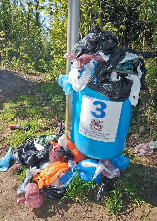 Curmudgeon: NATIONAL POO DAY… WTF?