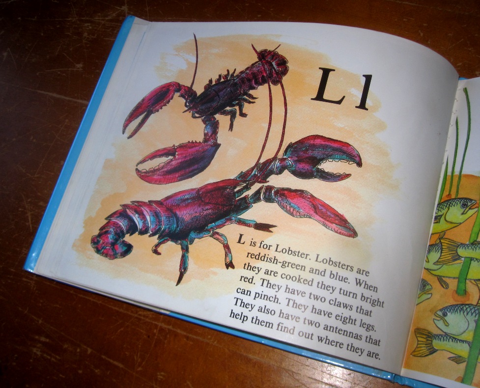 10engines: parenting -the ocean alphabet book