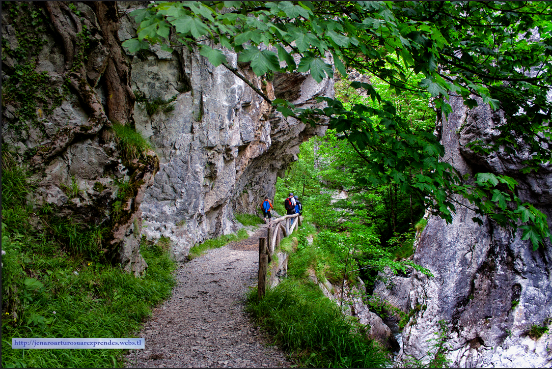 Asturias Naturaleza: La Ruta del Alba