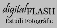 Digital Flash
