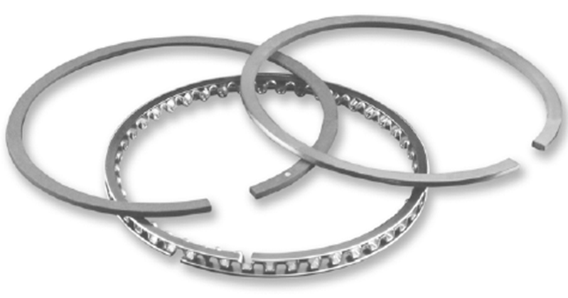 PARTES INTERNAS DEL MOTOR: SEGMENTOS