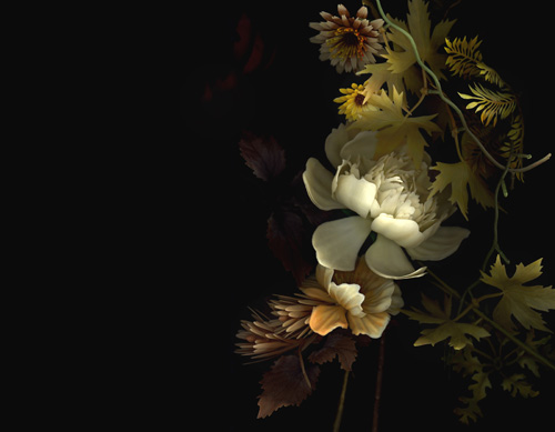 prophets of the spring: Yedda Morrison