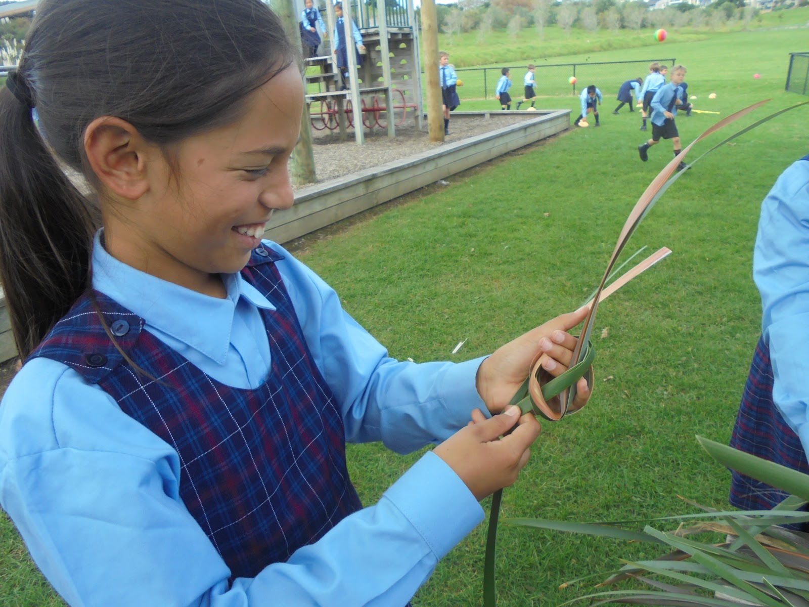 Wentworth Primary School - Year 3 Blog: Flax Weaving