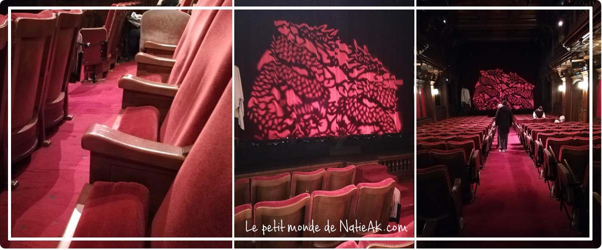 Théâtre Le Ranelagh " Le portrait de Dorian Gray " : une mise en scène ...