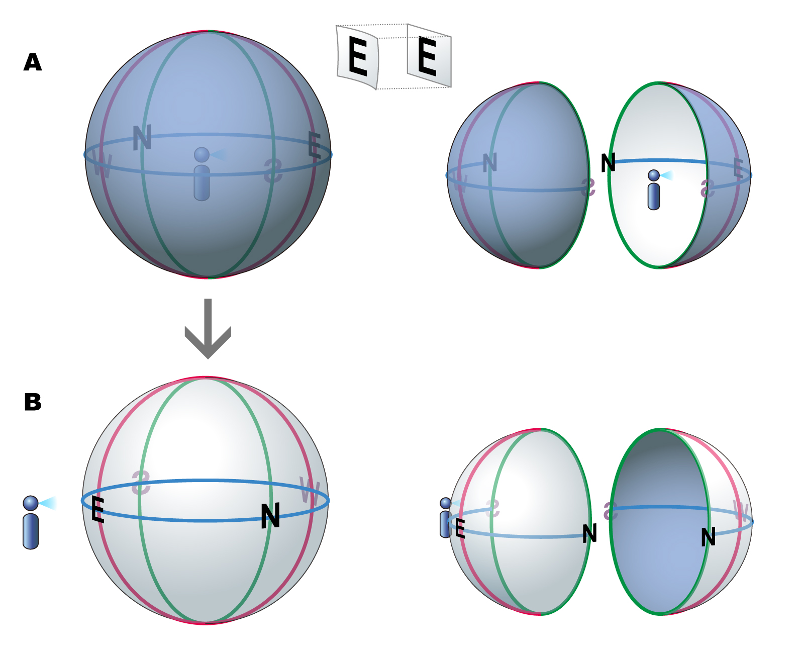 ca-ci-ca: Spherical panorama projection