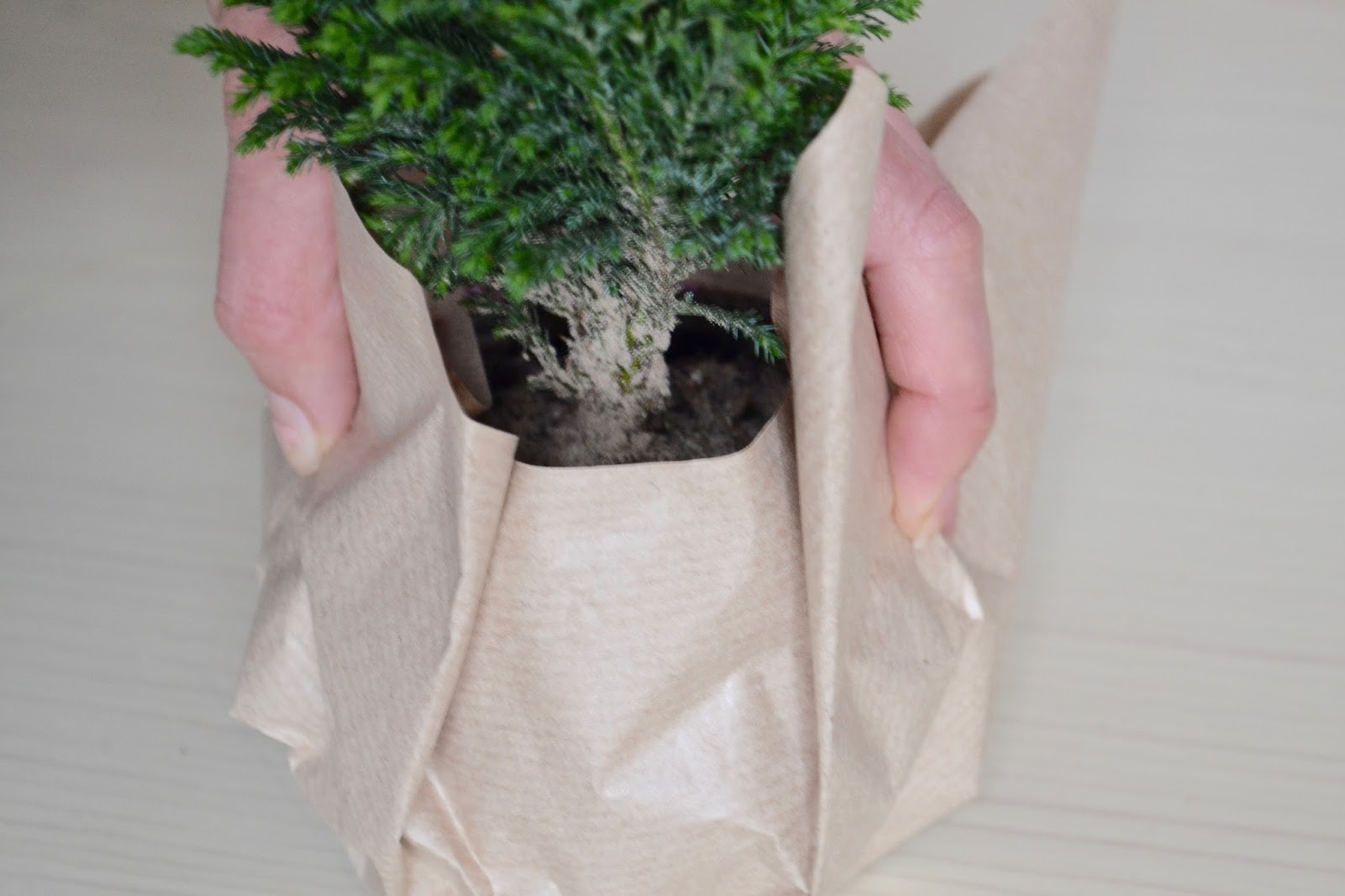 DIY Christmas | Last Minute Plant Gift Wrap Idea | The Things She Makes