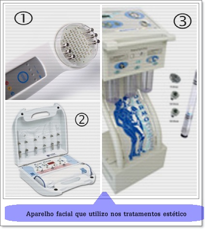 A Arte de Embelezar a Face com Patrícia Cerutti: Estética Facial