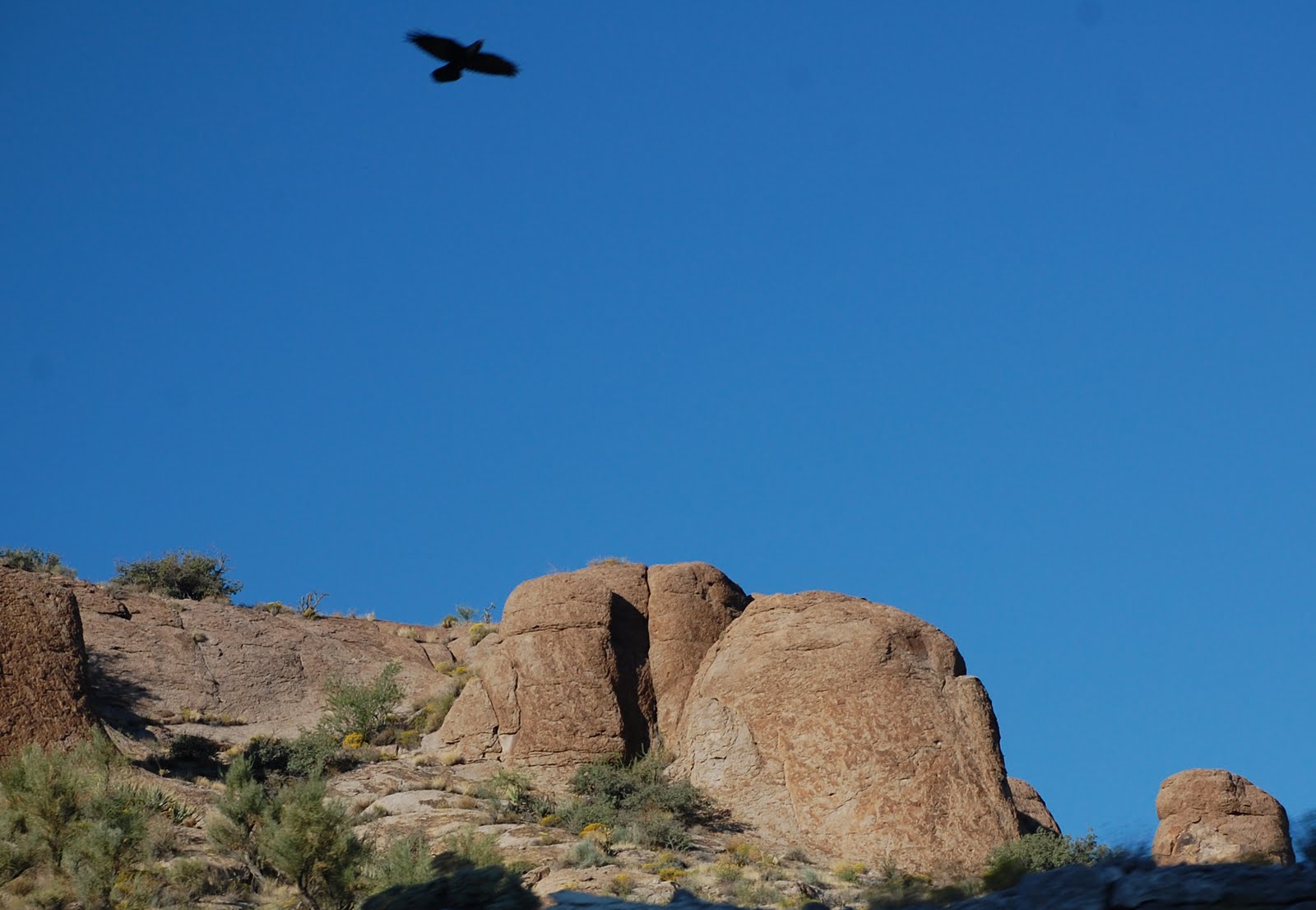 Nancy's Notes: The Road to Hesperia