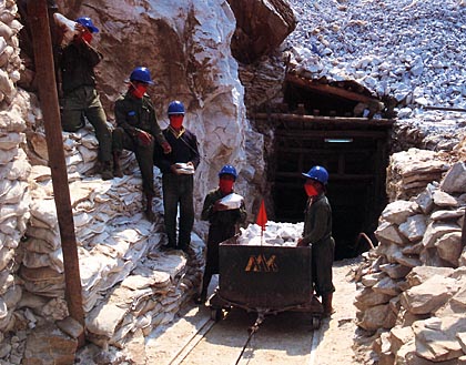 musings from the marsh...: The Ruby...