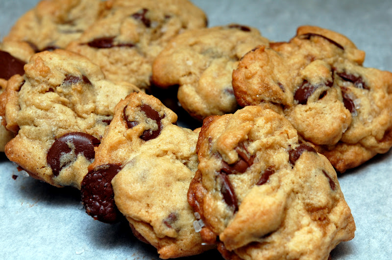 ANOTHER SCRUMPTIOUS CHOCOLATE CHIP COOKIE - Hugs and Cookies XOXO
