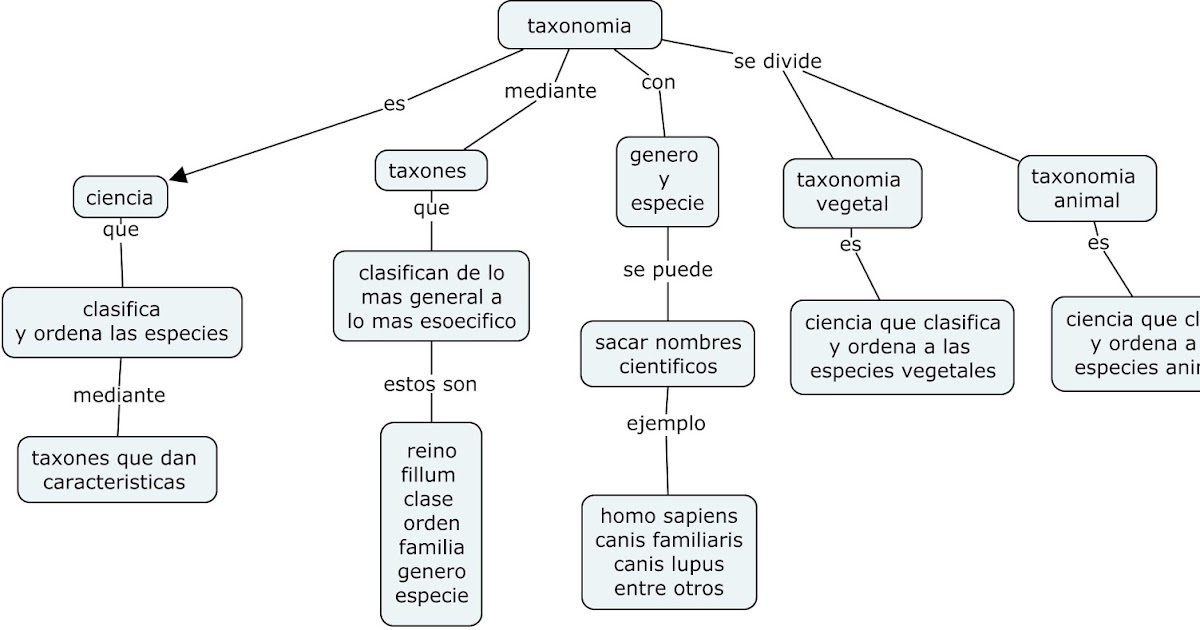 EVOLUCIÓN y TAXONOMÍA : EVOLUCIÓN y TAXONOMÍA