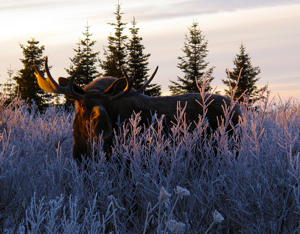 I'm Outta Here: Talking photography and photographs