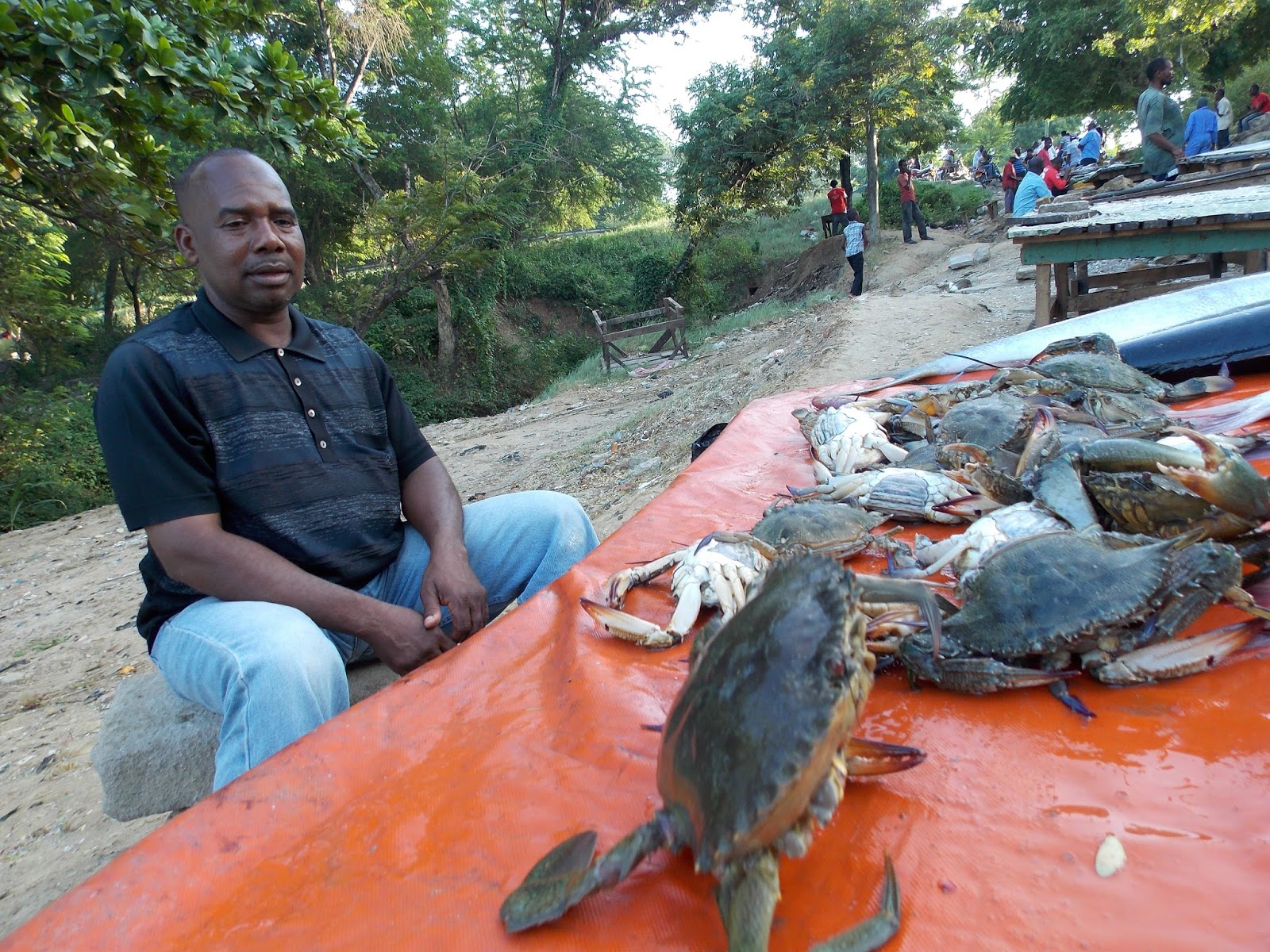 TANGA KUMEKUCHA: SAMAKI KAA NAUZA JAMANI MUNAMJUA