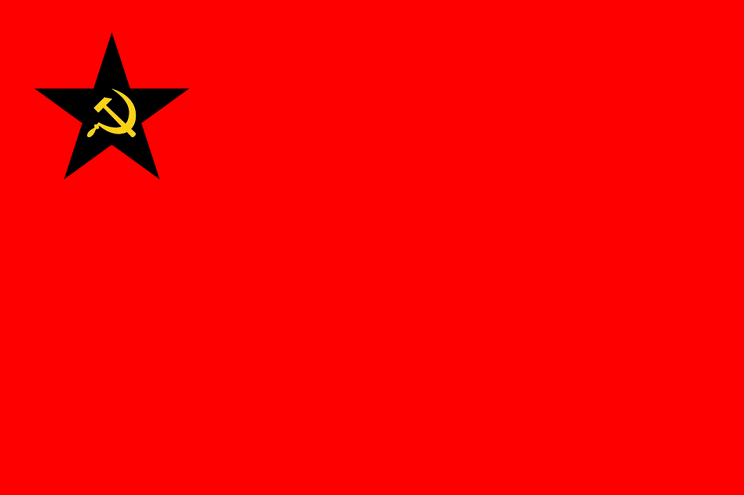 SADTU Political Education Blog: Banners and Flags